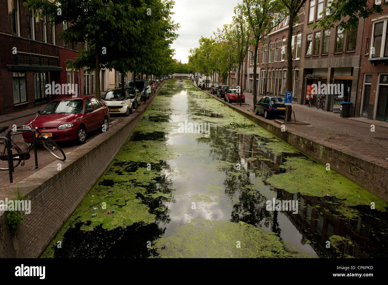 Algae and pollution in canal Delft Netherlands Holland Europe EU Stock ...