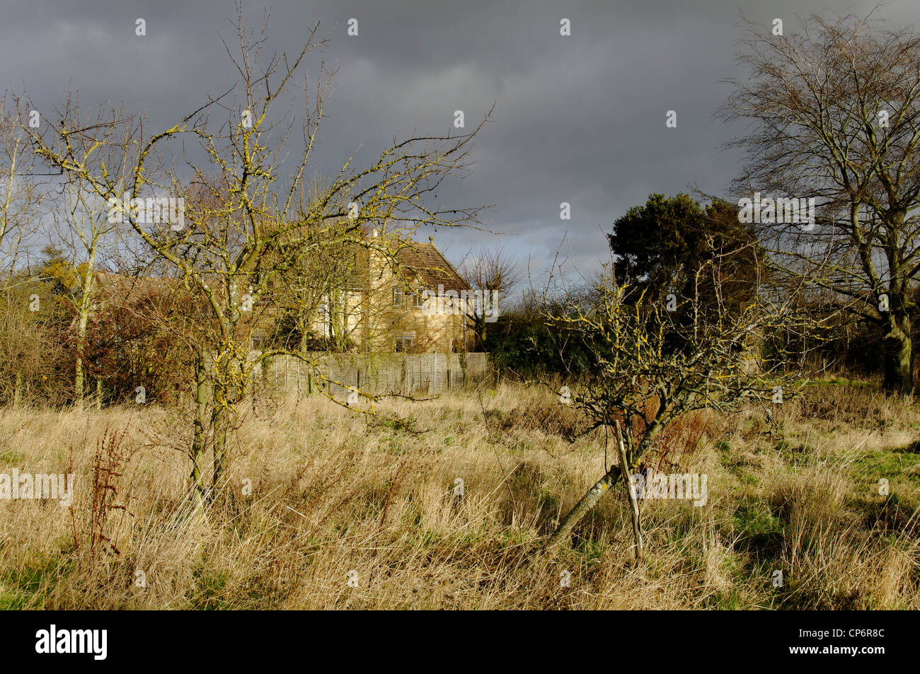 British countryside by a sunny winter day Stock Photo - Alamy