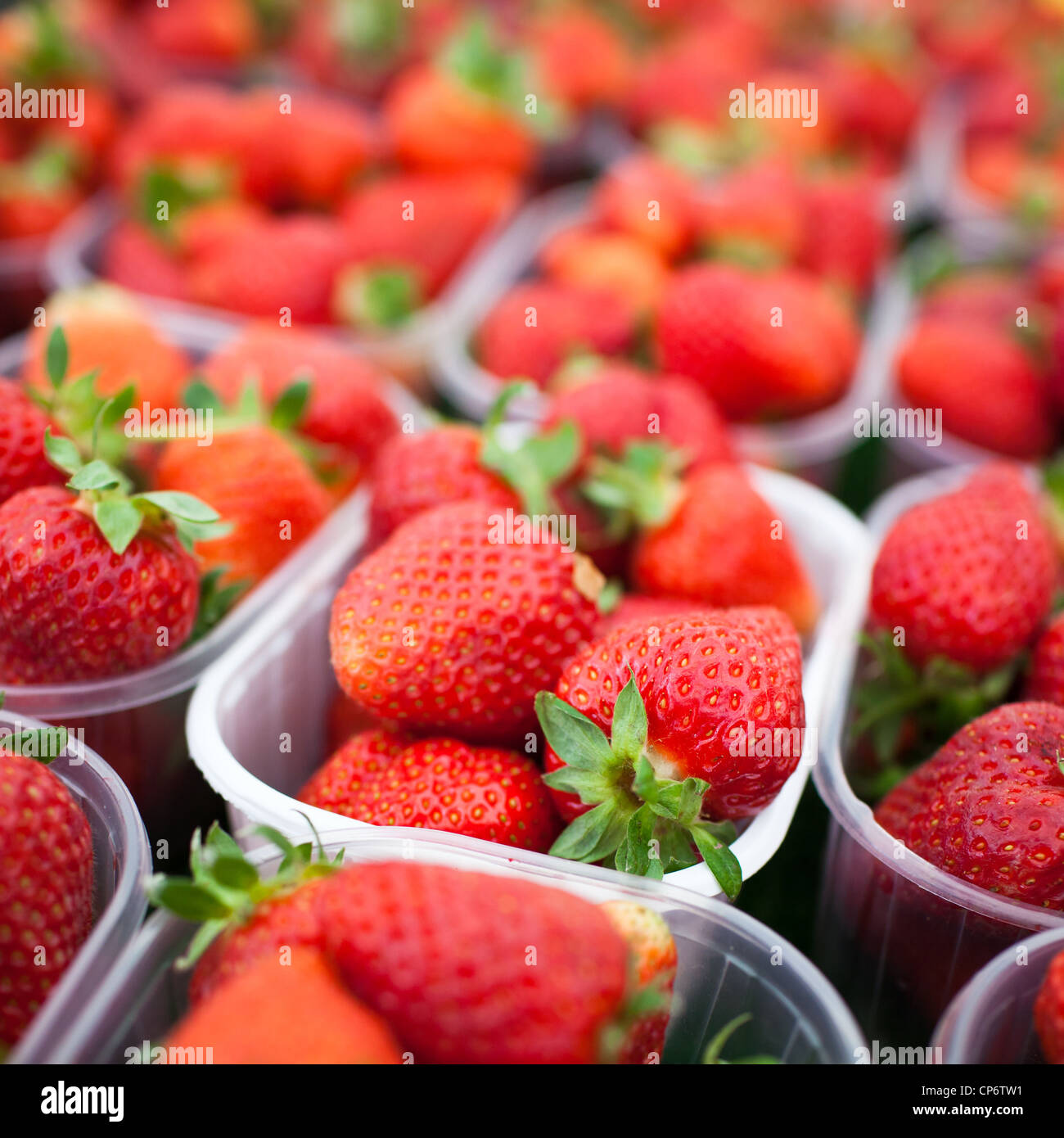 farmers market series - fresh strawberries Stock Photo - Alamy