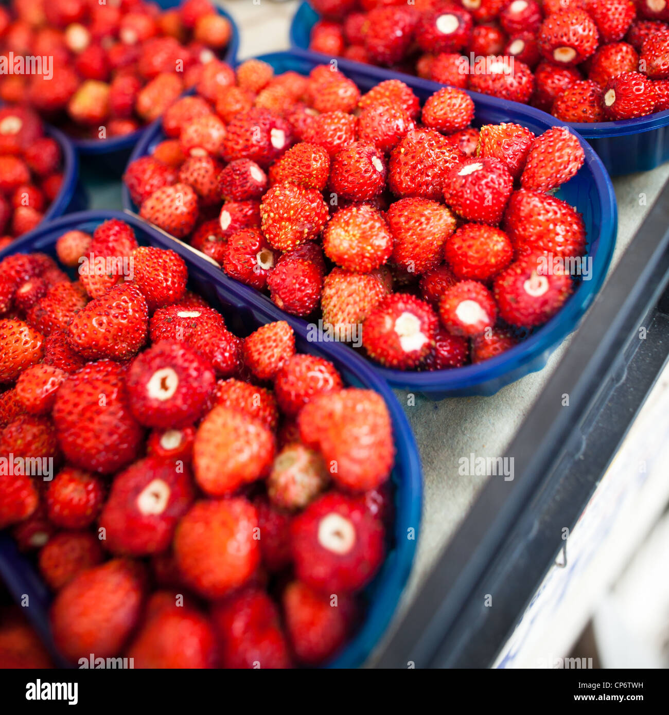 farmers market series - fresh strawberries Stock Photo - Alamy