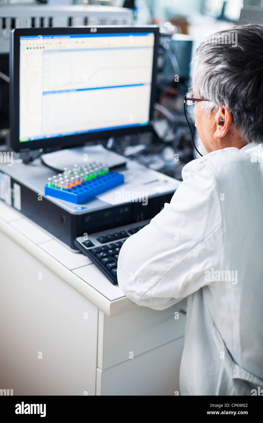 Senior researcher using a computer in the lab while working on an ...