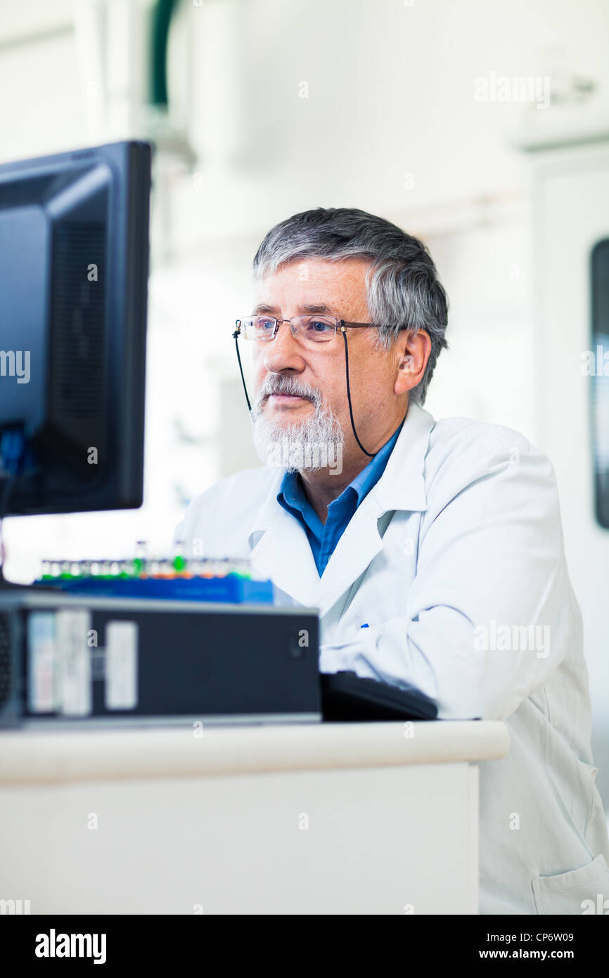 Senior researcher using a computer in the lab while working on an ...