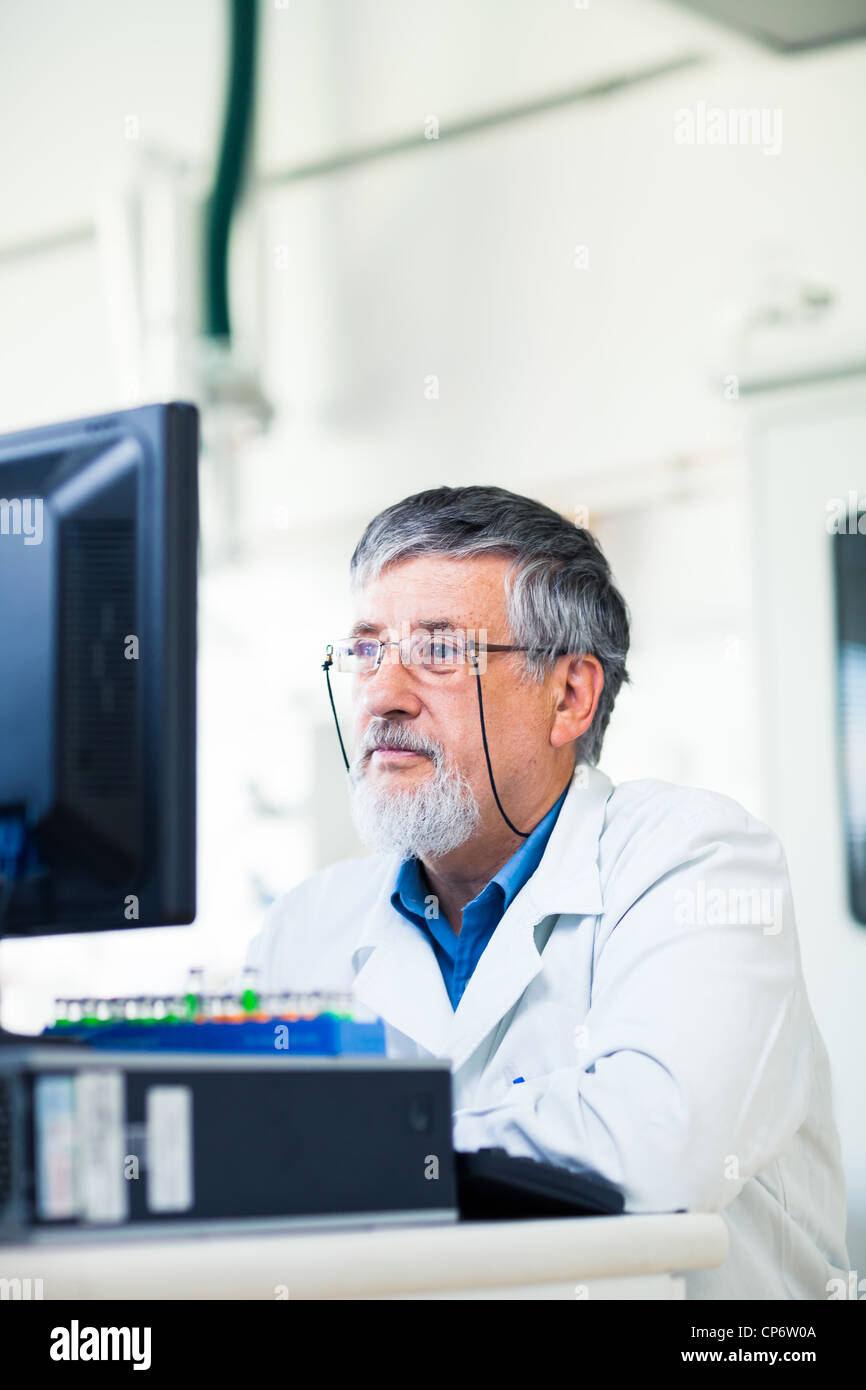 Senior researcher using a computer in the lab while working on an ...