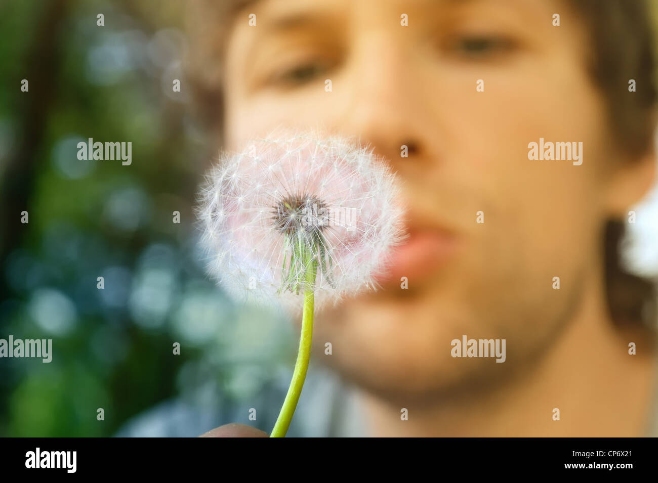 Dandelion and man face on background blowing (focus on dandelion Stock ...