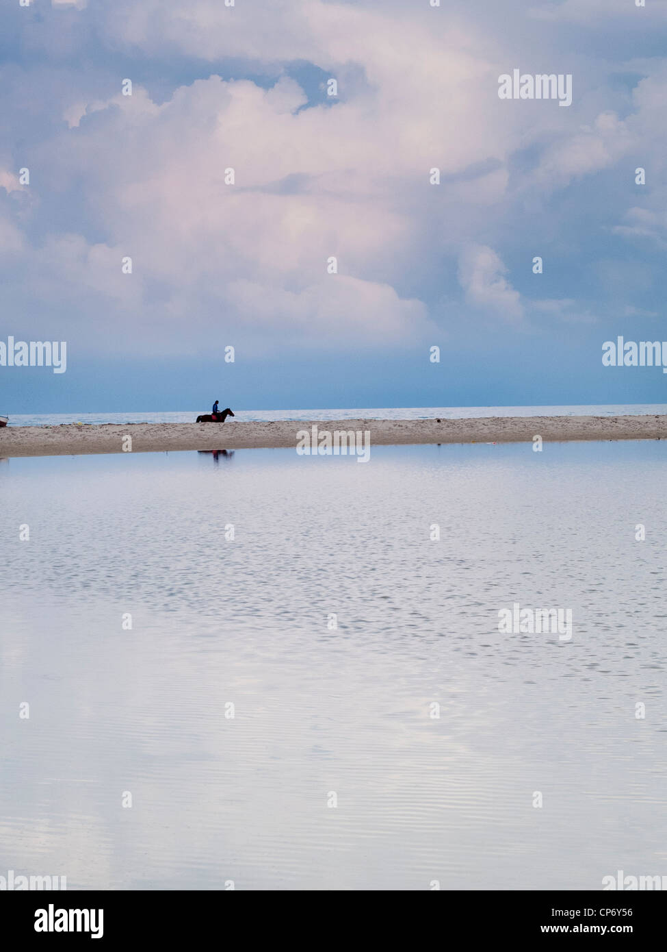 Knight on horse on beach hi-res stock photography and images - Alamy