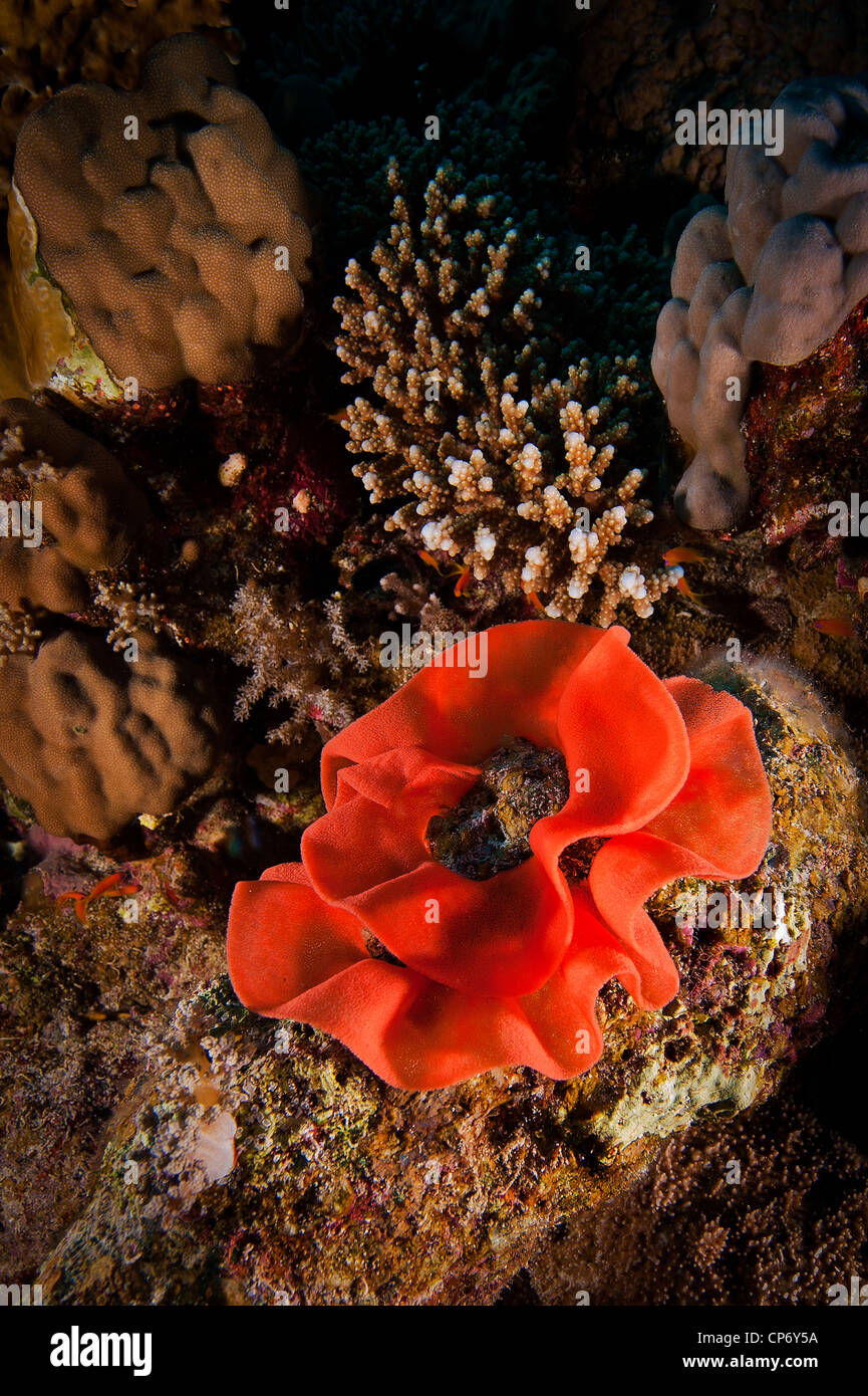Spanish life boat hi-res stock photography and images - Alamy