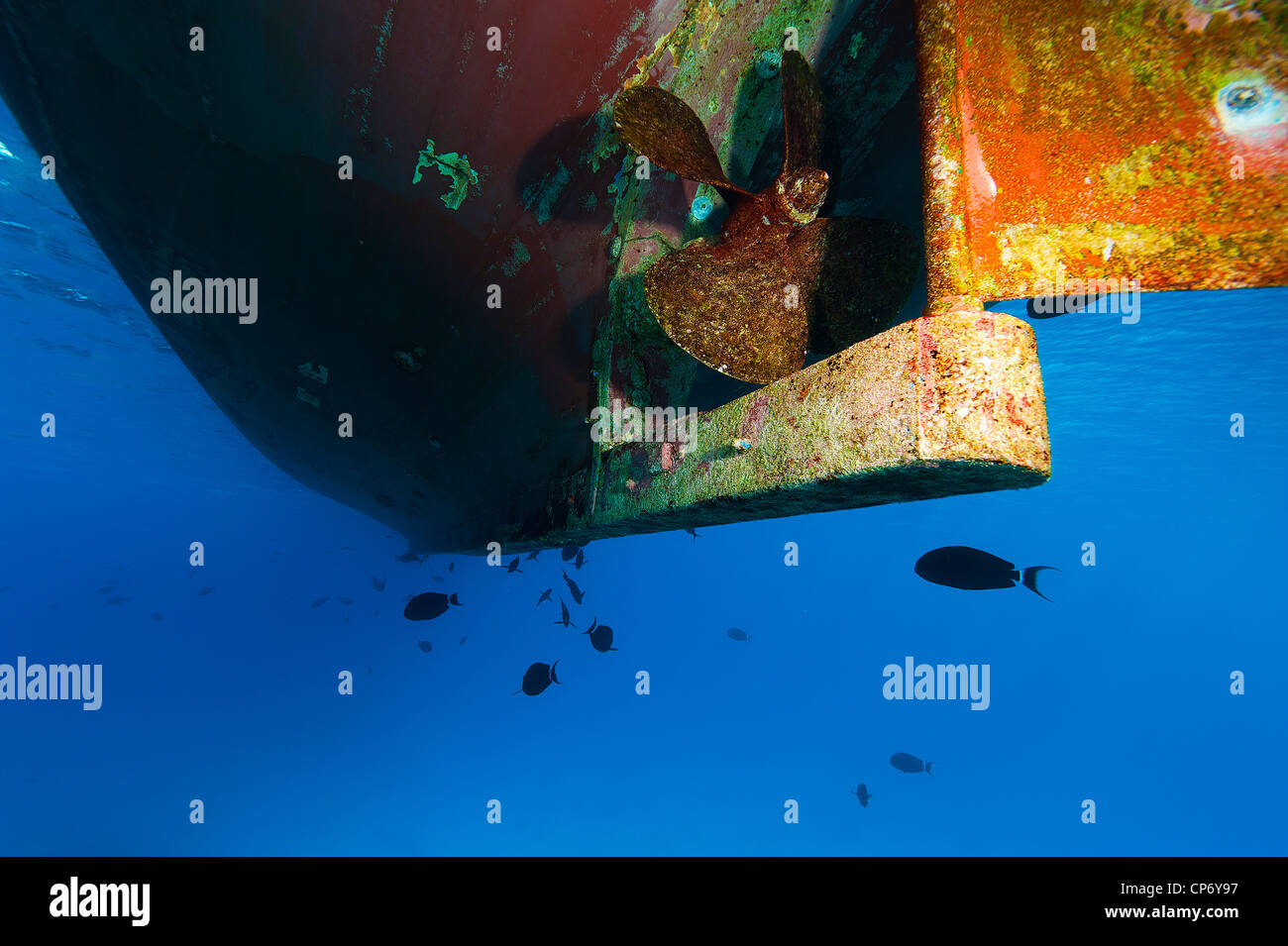 Colorful bottom of a boat Stock Photo - Alamy