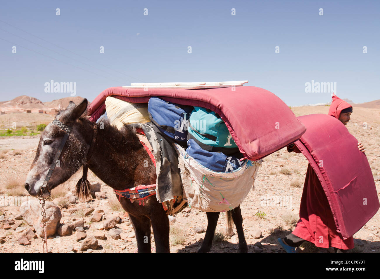 A mule and muleteer carrying a load in the Anti Atlas, Morocco Stock ...