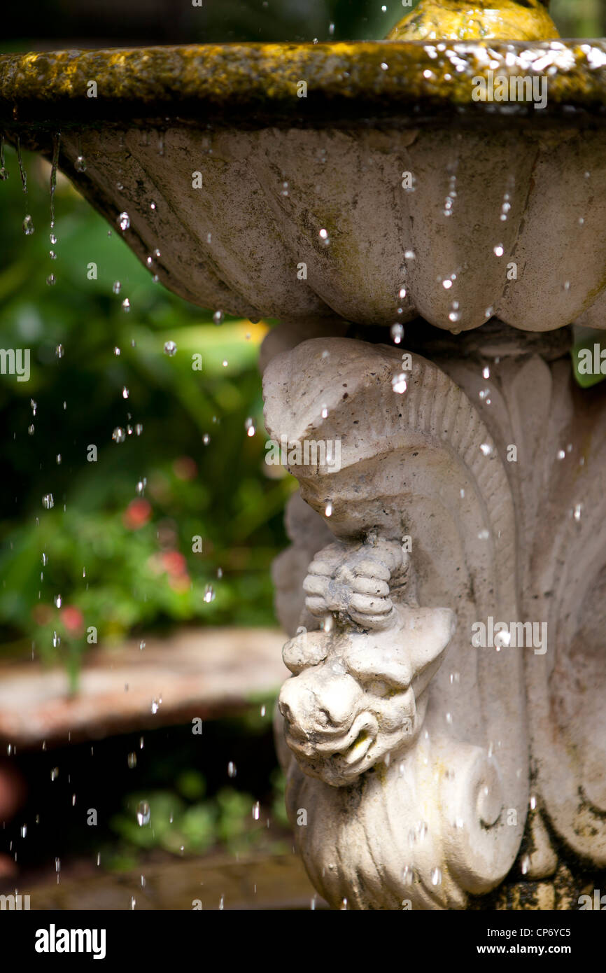 Fast shutter speed shot hi-res stock photography and images - Alamy