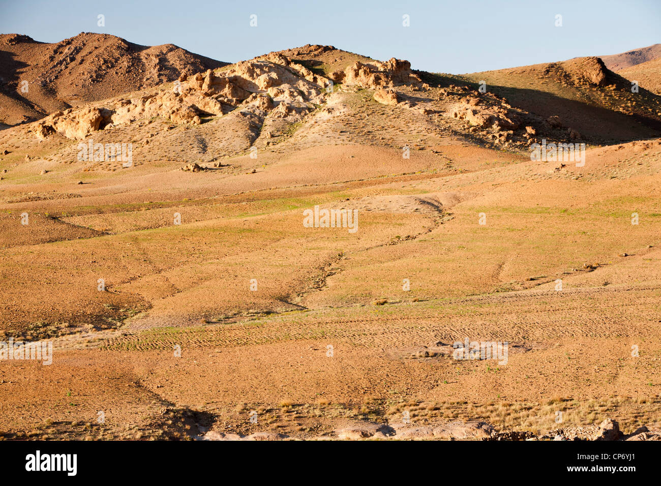 A desperate drought has affected much of Morocco, with Berbers crops ...