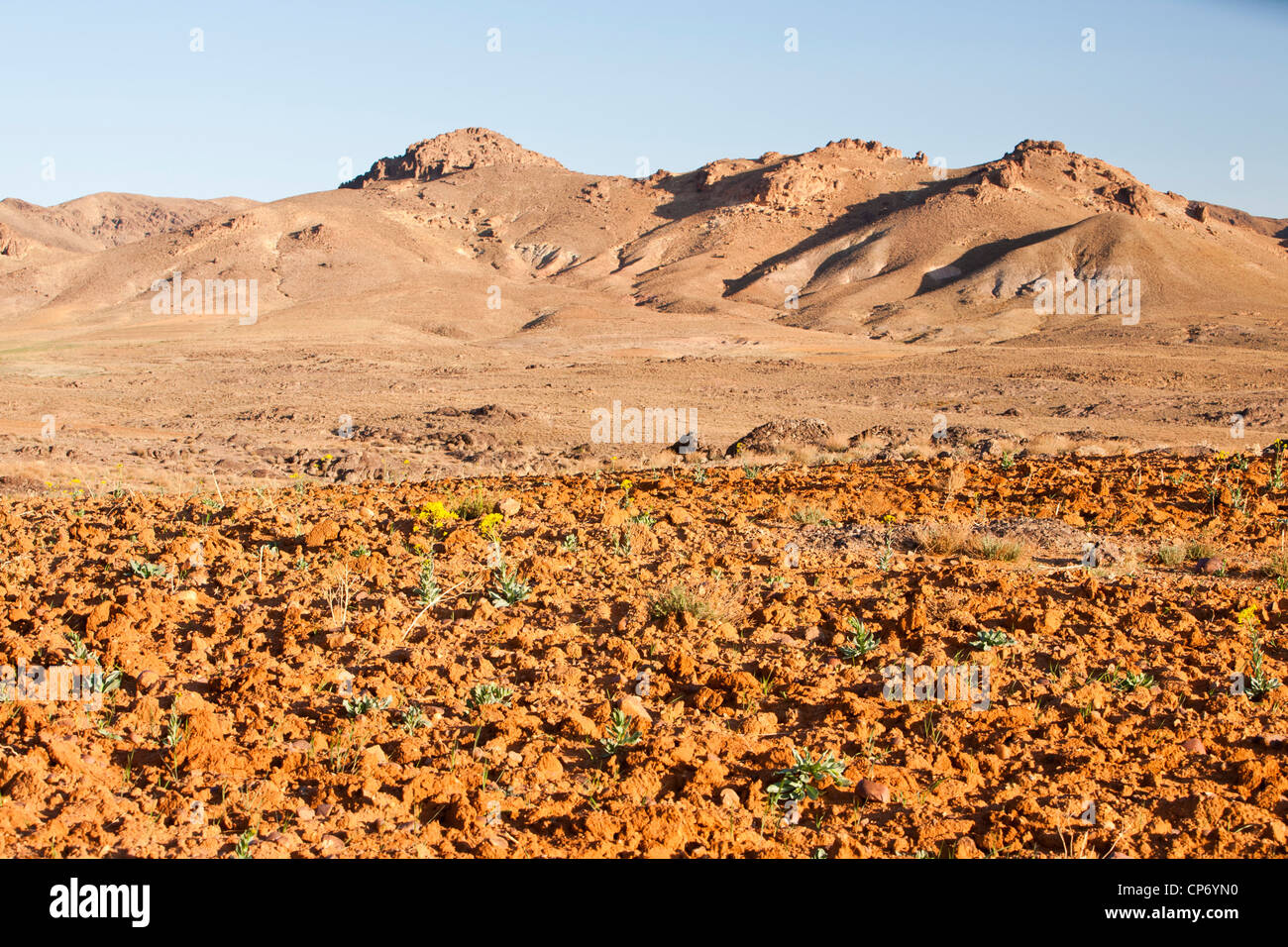 Crops drought hi-res stock photography and images - Alamy