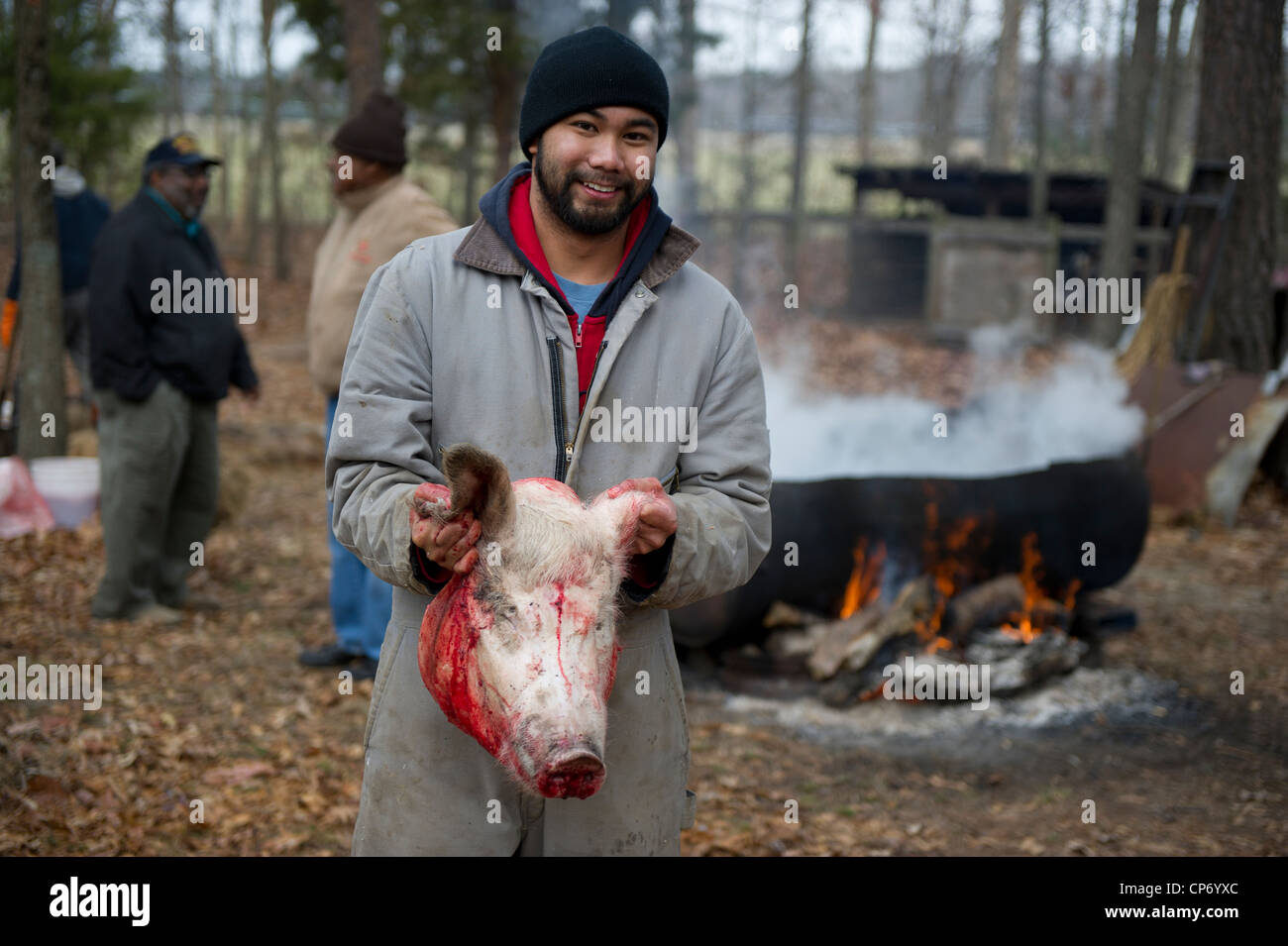 Man with decapitated pigs head in pig butchering process Stock Photo ...
