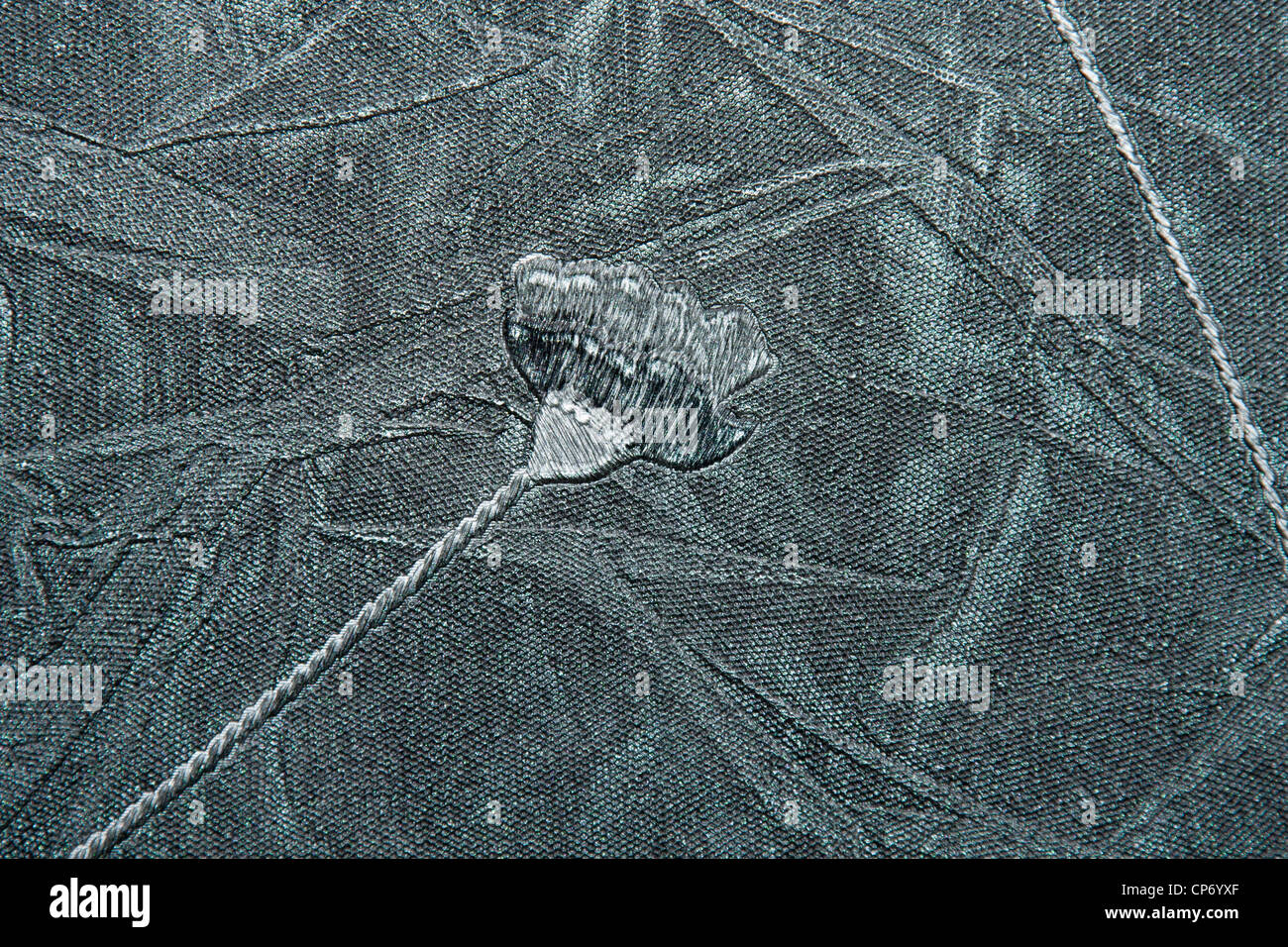 A Wallpaper design Stock Photo - Alamy