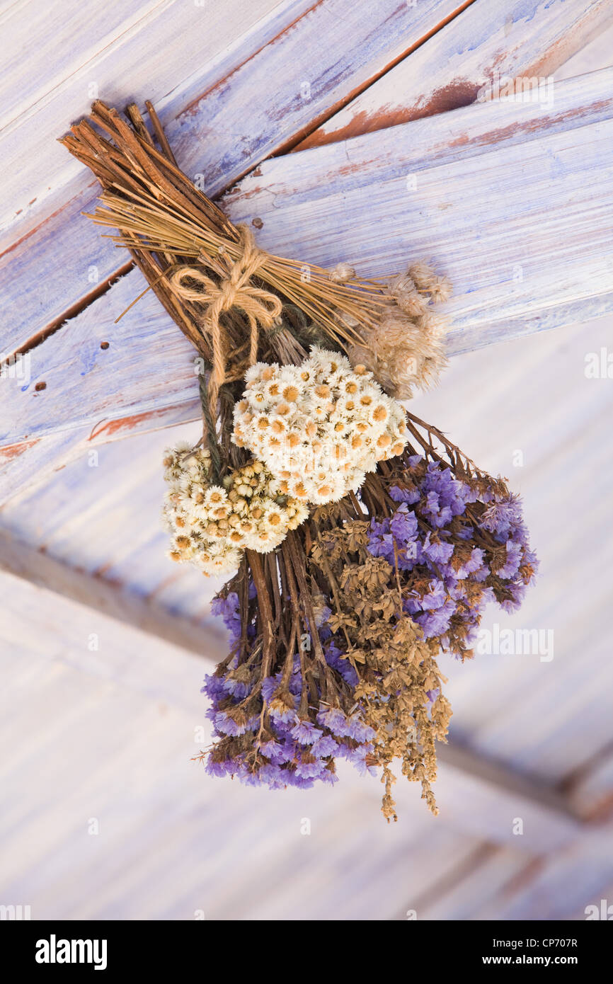 Dried flowers arranged and hung in a potting shed at RHS Garden Harlow ...