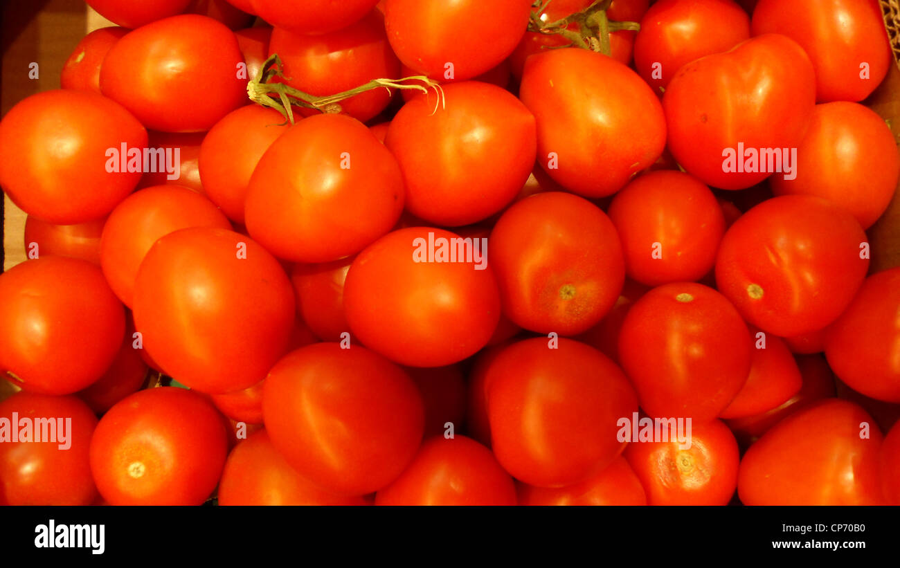 Small red Tomatoes from Spain Stock Photo - Alamy