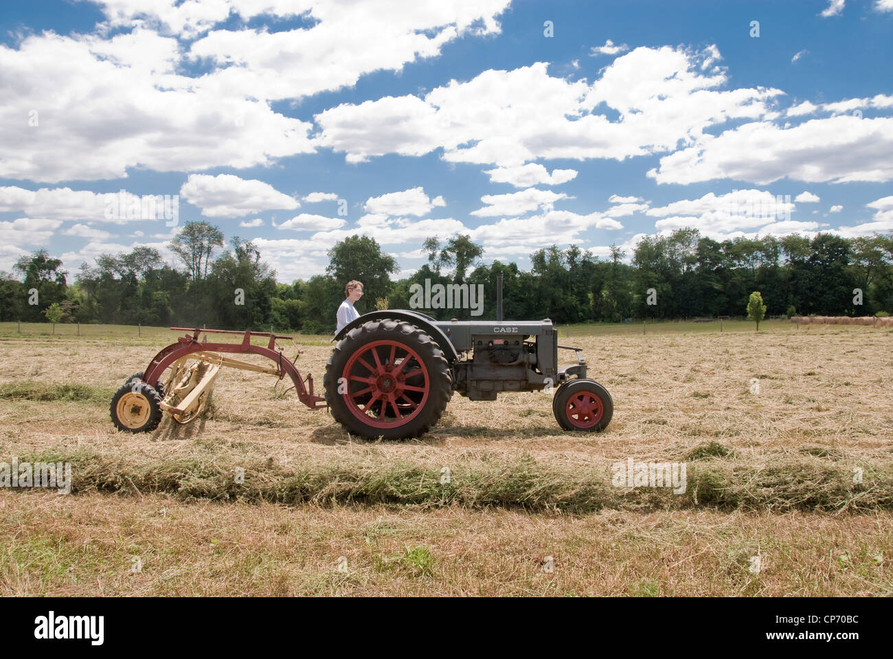 Boy raking hay with Case CC tractor and bar rake Stock Photo - Alamy