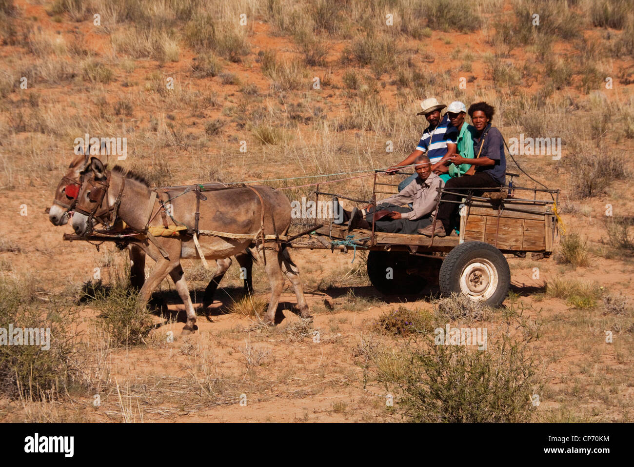 Riding a donkey cart hi-res stock photography and images - Alamy
