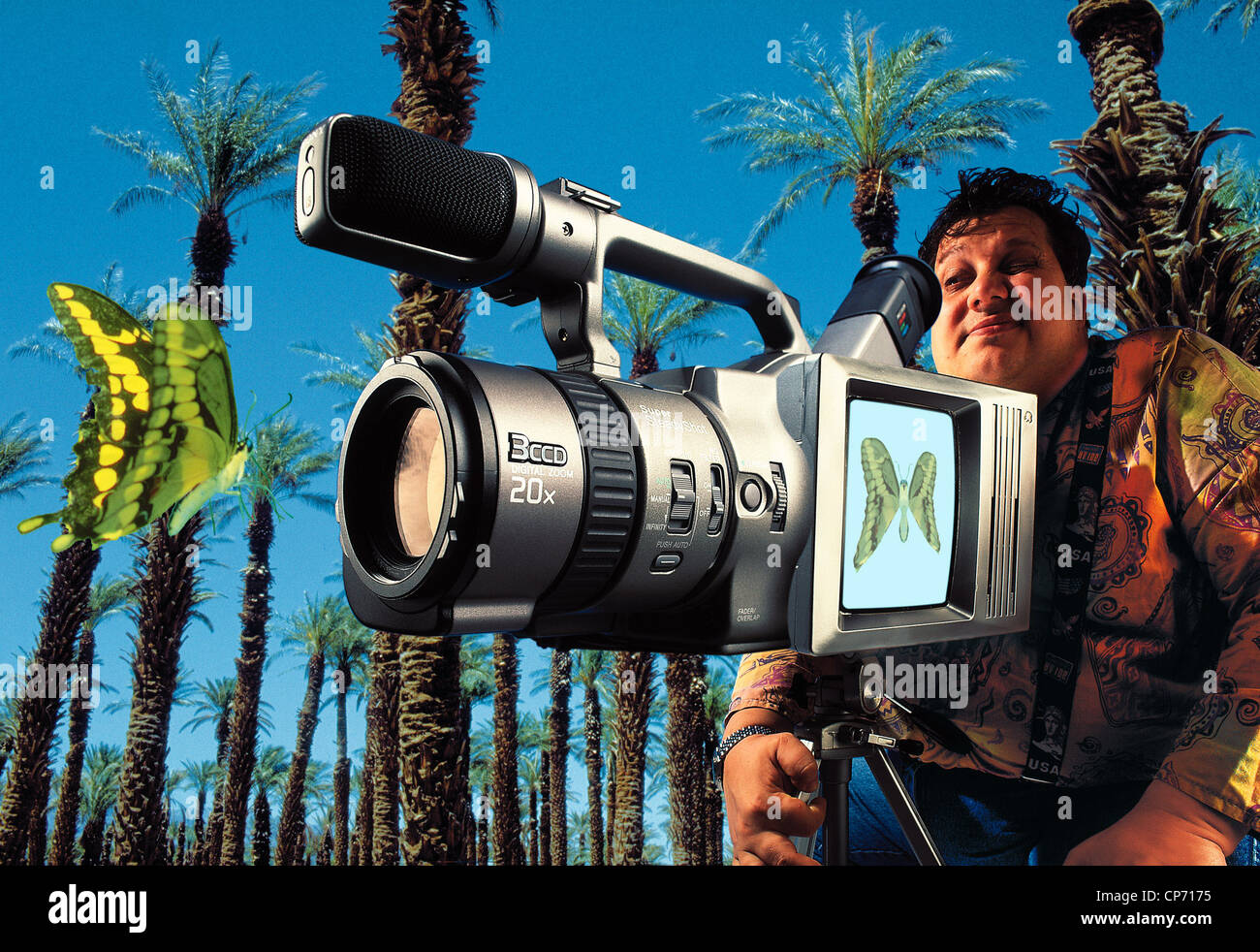 Man with a digital camera filming a butterfly Stock Photo - Alamy
