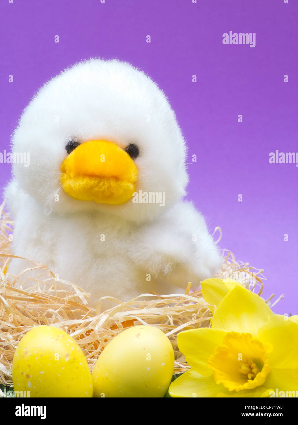 Purple chick hi-res stock photography and images - Alamy