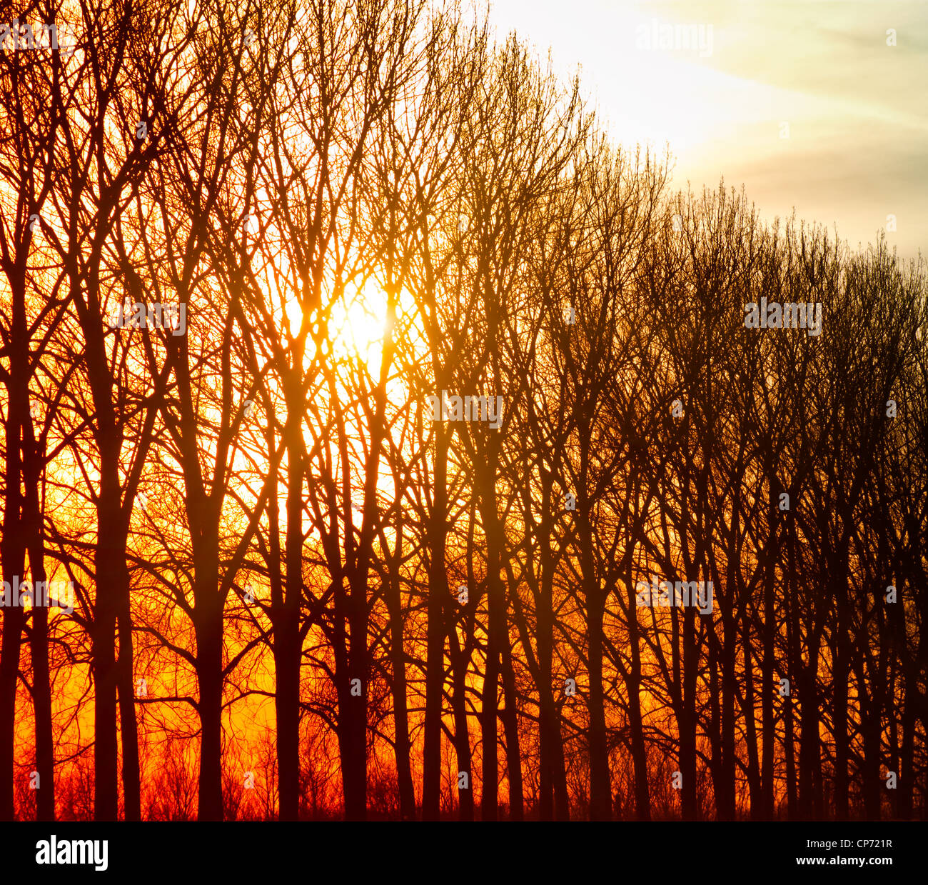 Red sun bushfire hi-res stock photography and images - Alamy