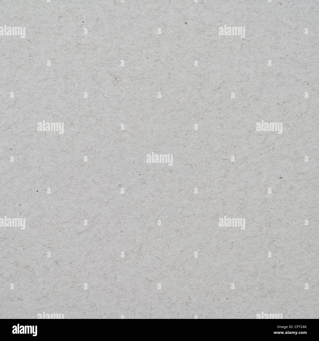 Light Gray Paper Texture