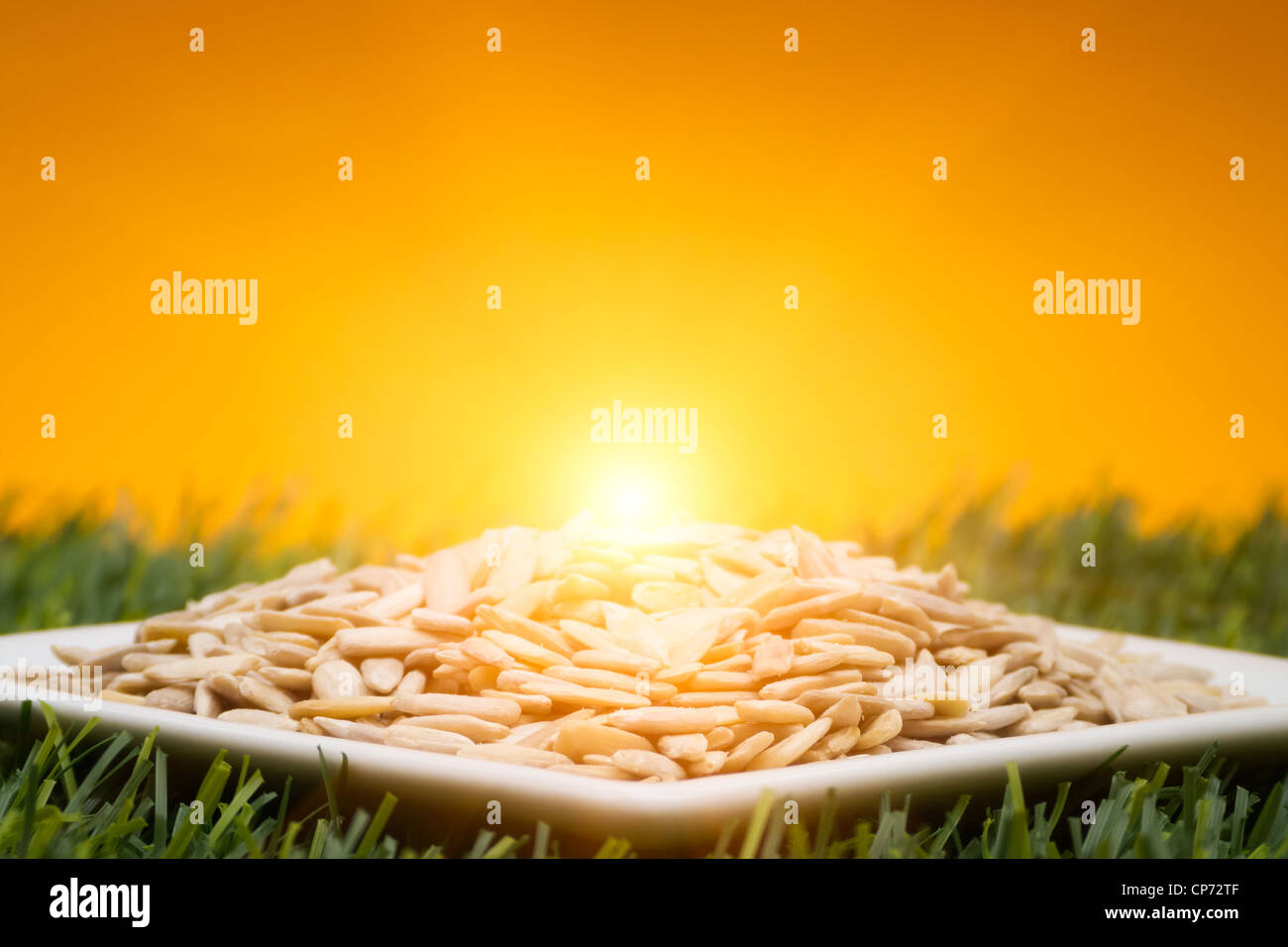 Sunflower Seed on Sunset Stock Photo - Alamy