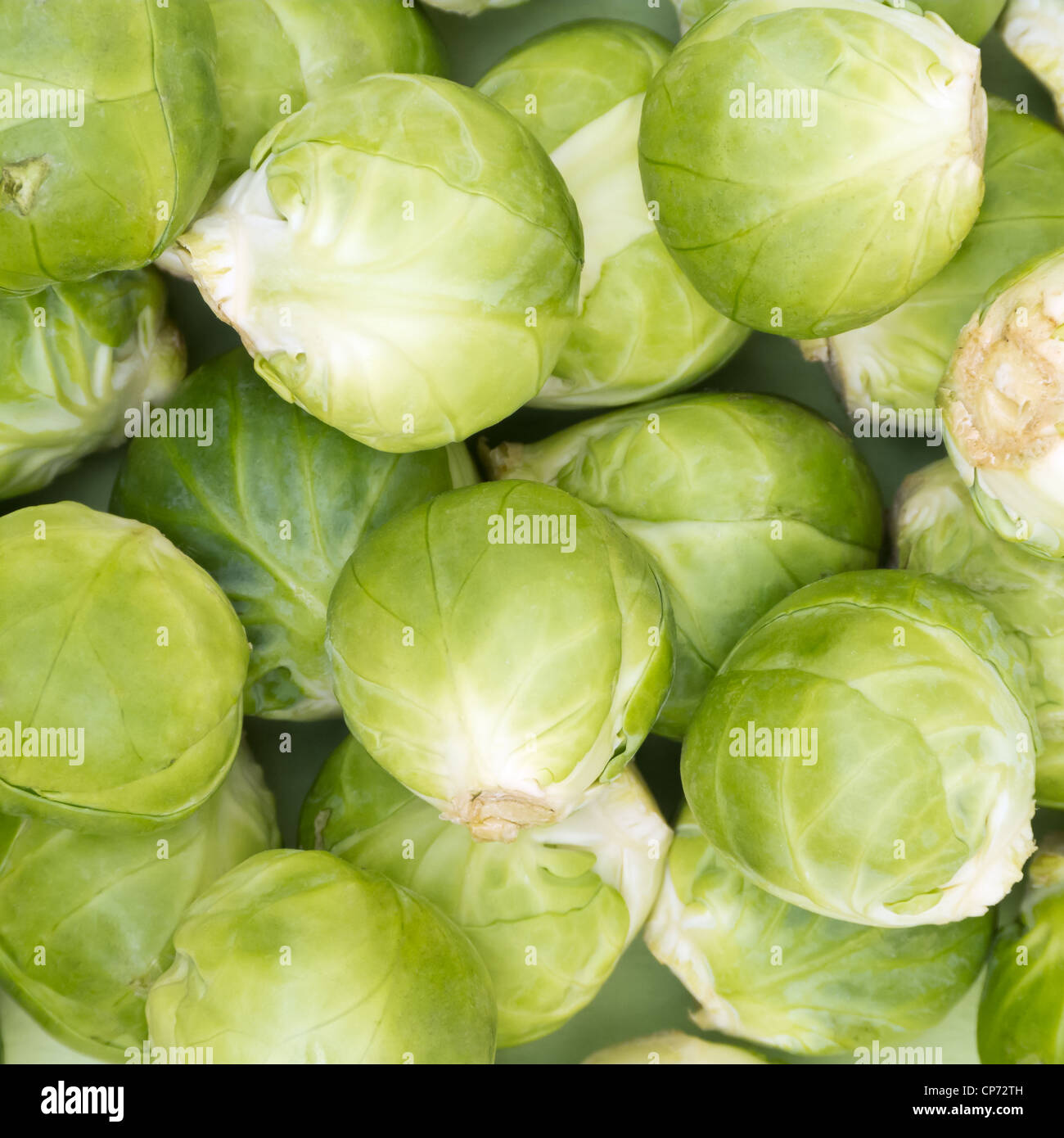 Brussels sprouts leaves hi-res stock photography and images - Alamy