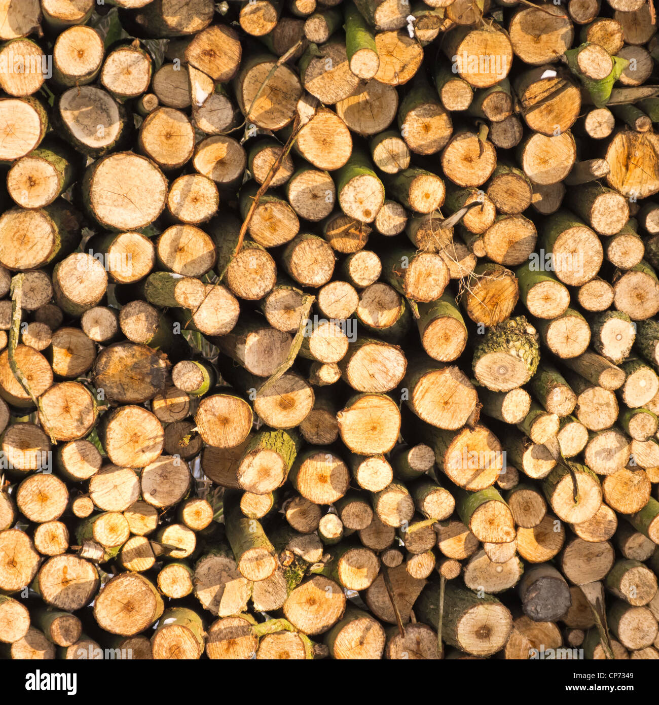 Wood Log Texture Stock Photo - Alamy
