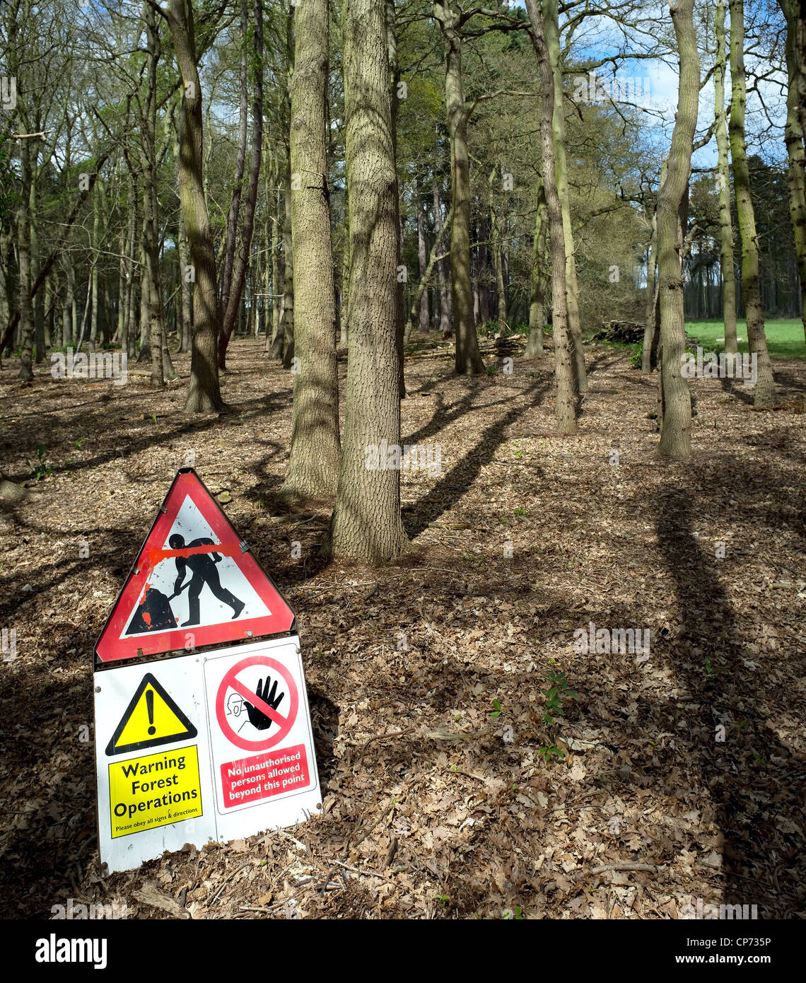 A warning sign in a woodland Stock Photo - Alamy