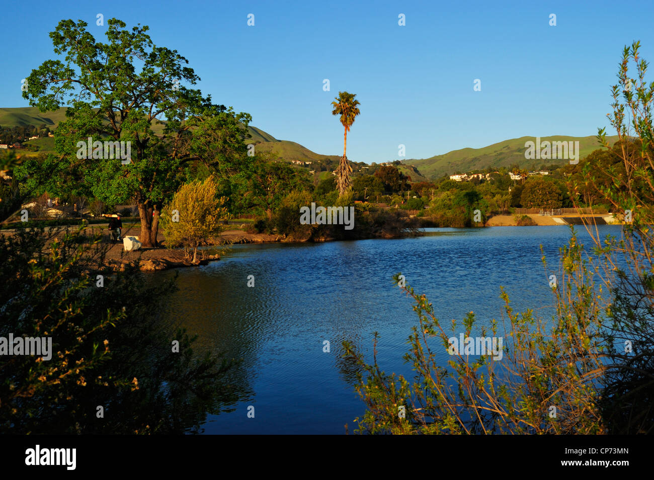 Groundwater recharge ponds hi-res stock photography and images - Alamy
