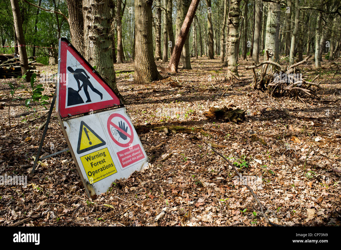 A warning sign in a woodland Stock Photo - Alamy