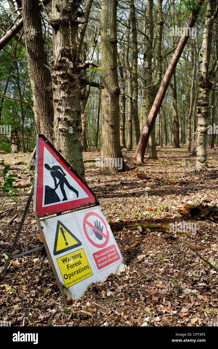 A warning sign in a woodland Stock Photo - Alamy