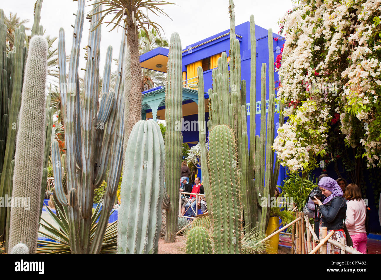 Marrakech plants hi-res stock photography and images - Alamy