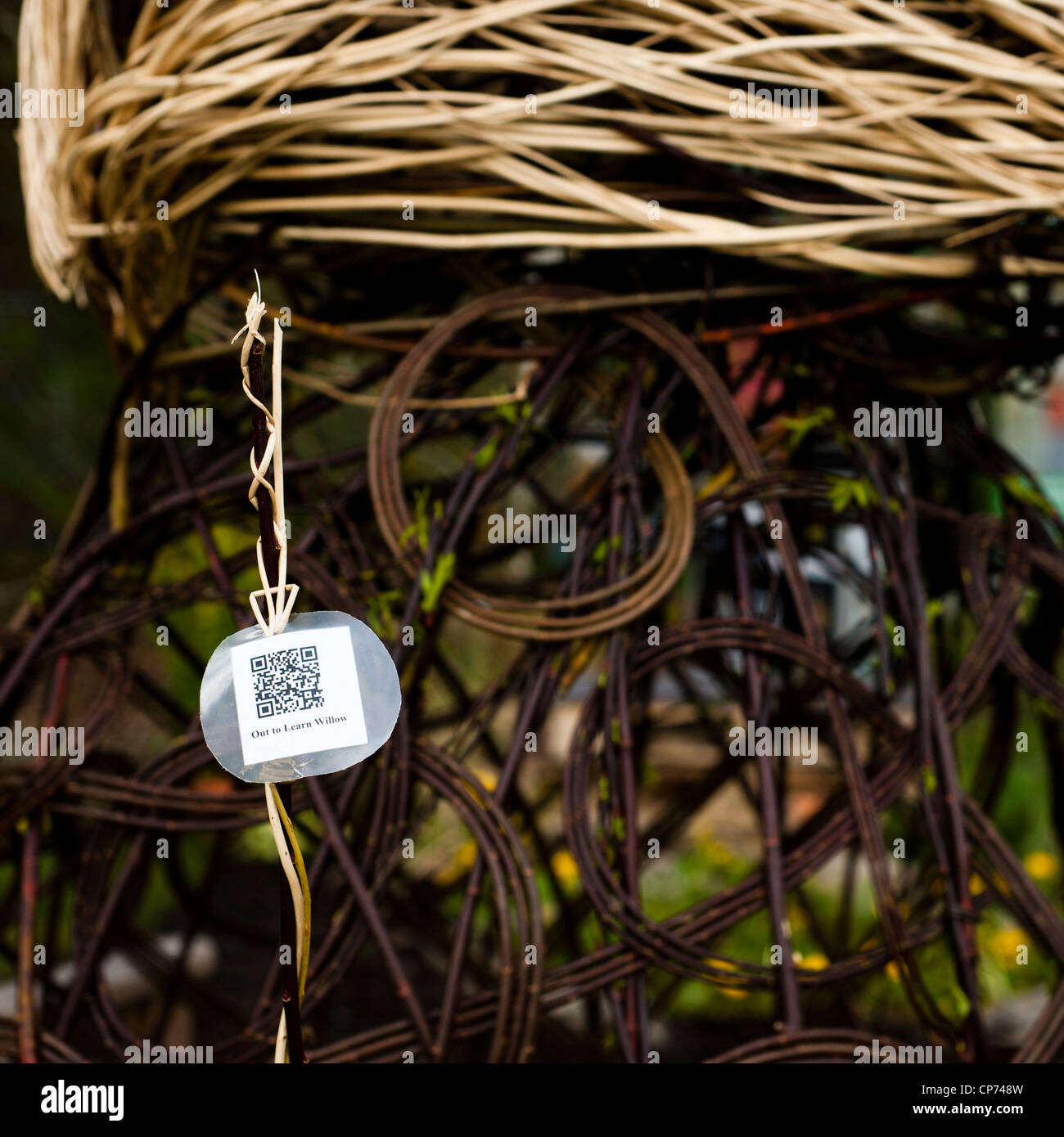 Use of a QR Code on The Wildlife Trust of South and West Wales ...