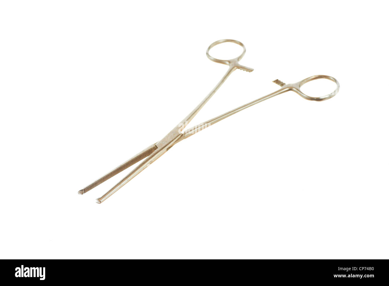 Surgical instrument (straight Kocher hemostat) held by surgeons hand ...