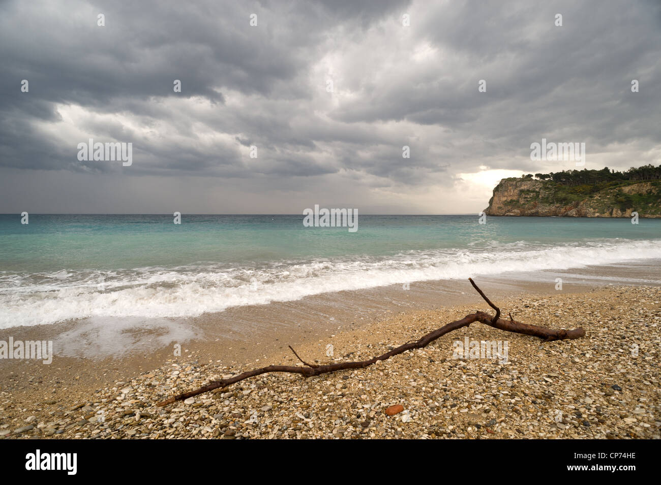 Cliff branch hi-res stock photography and images - Alamy