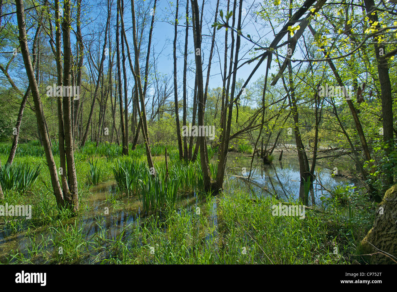 Lorch hi-res stock photography and images - Alamy