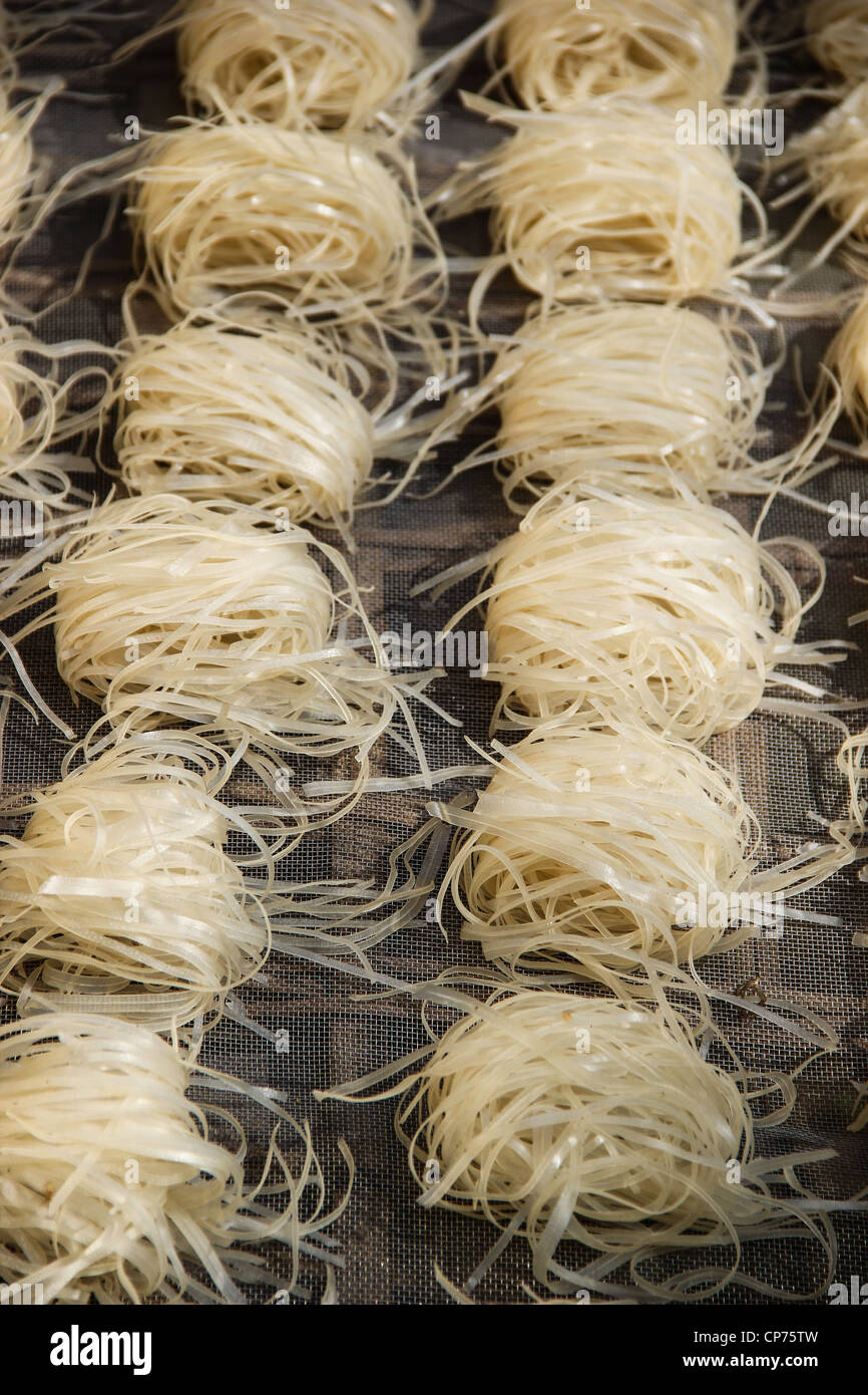 Rice noodles drying on the table outside in Vietnam Stock Photo - Alamy