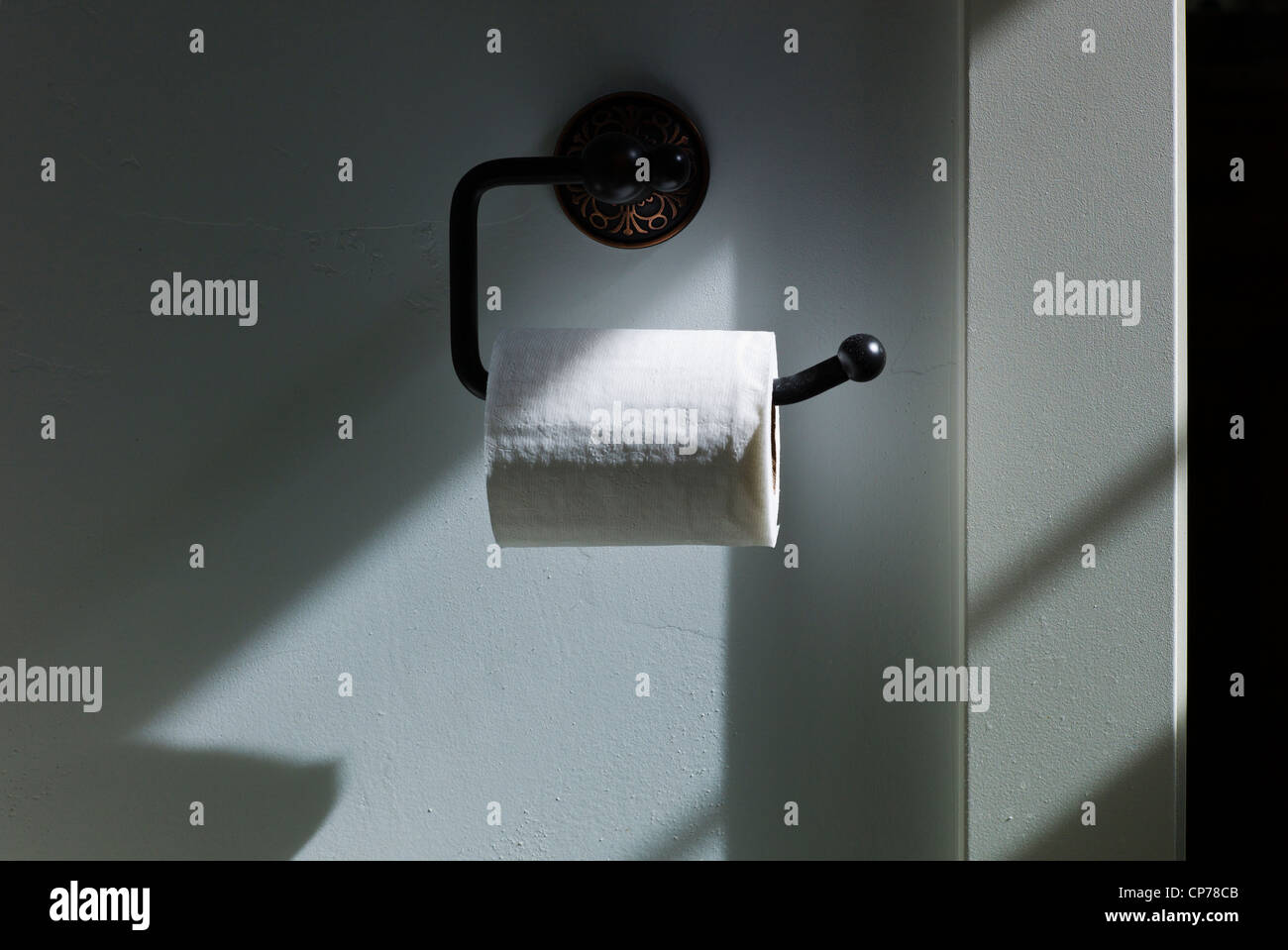 Close up photograph of sun and shadows on a roll of toilet paper in a ...