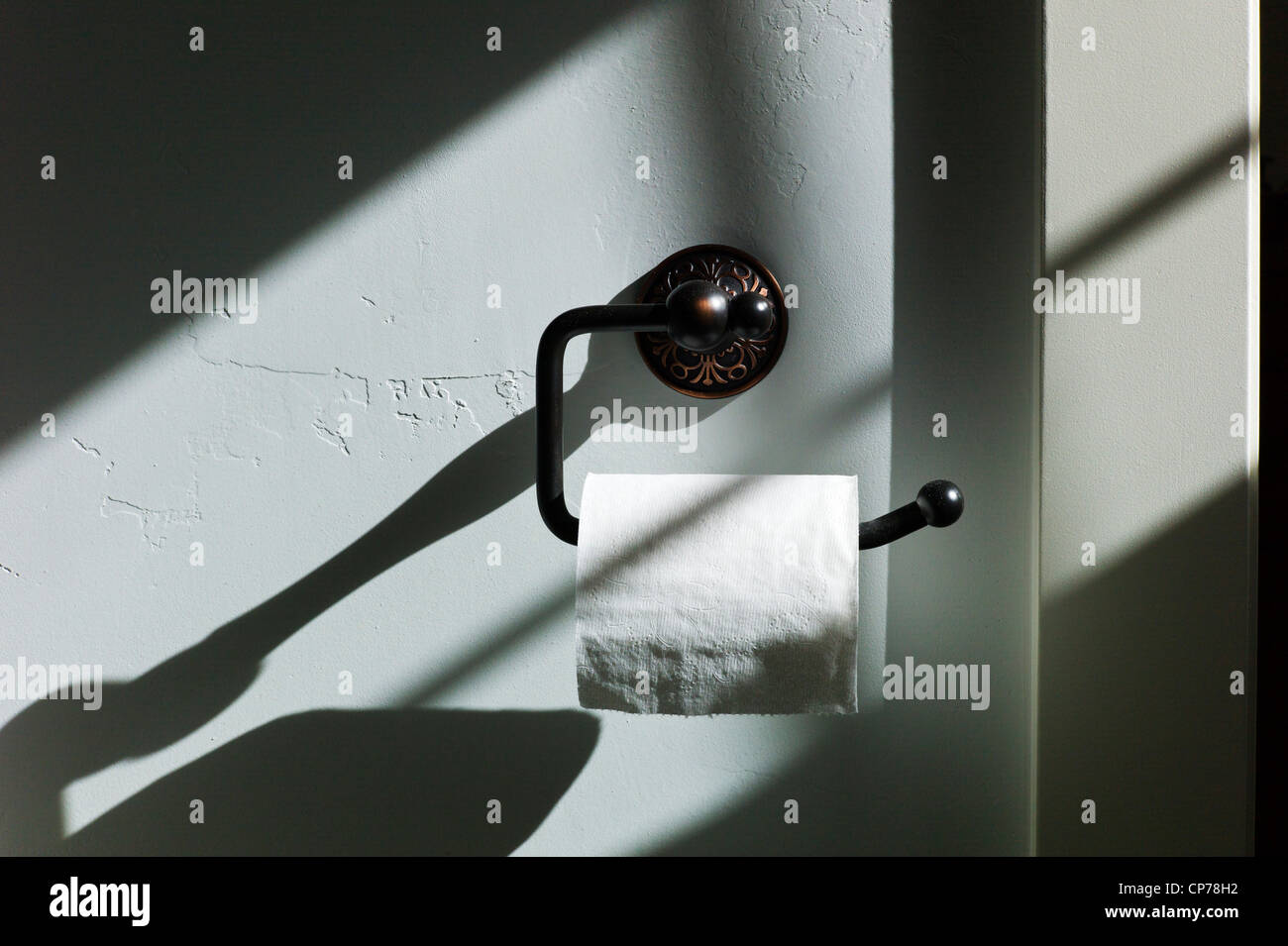Close up photograph of sun and shadows on a roll of toilet paper in a ...