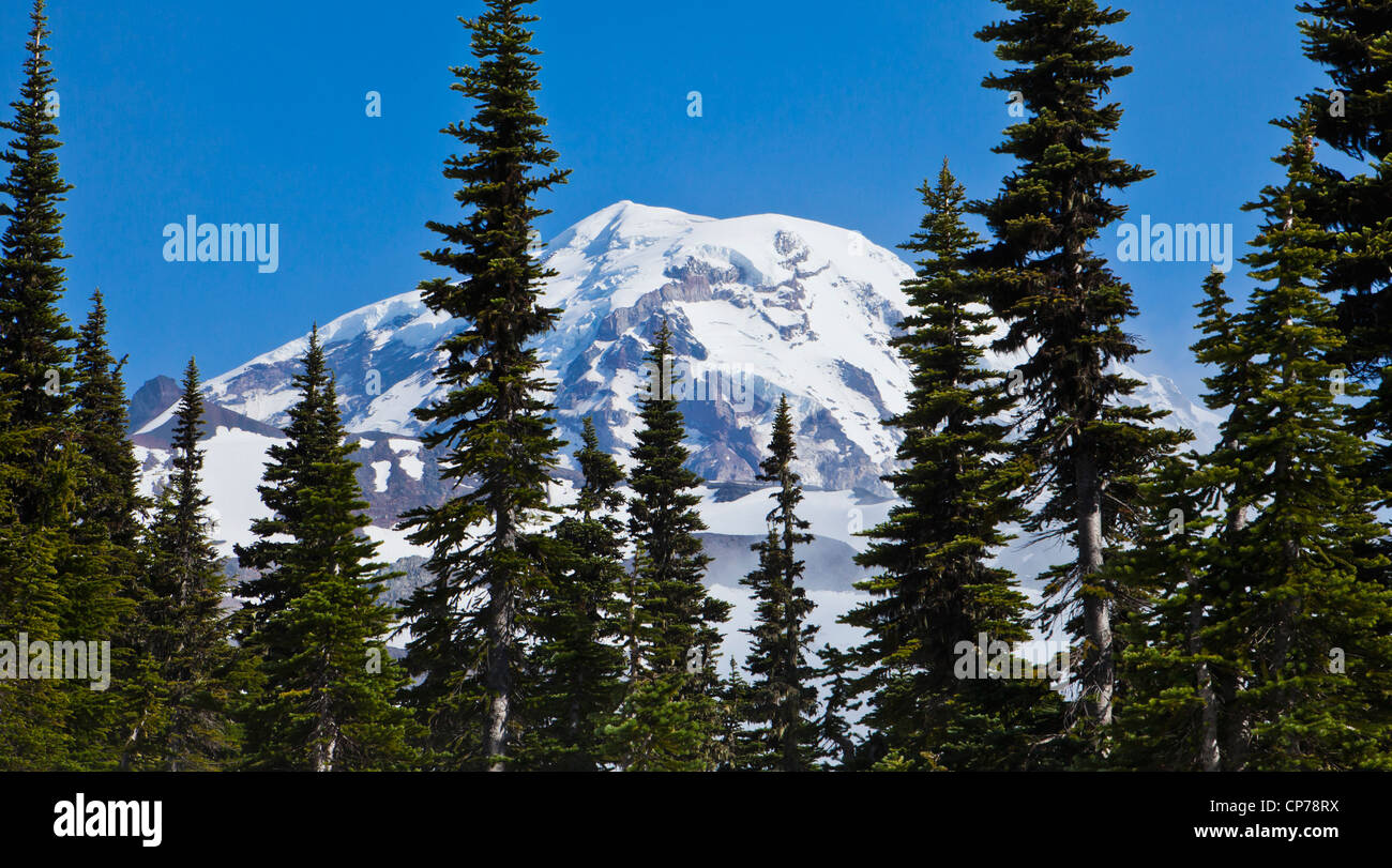 A partly hidden view of Mount Rainier, Mount Rainier National Park ...