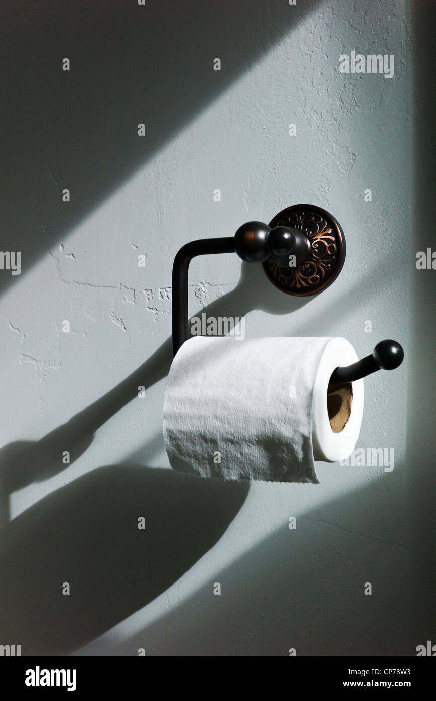 Close up photograph of sun and shadows on a roll of toilet paper in a ...