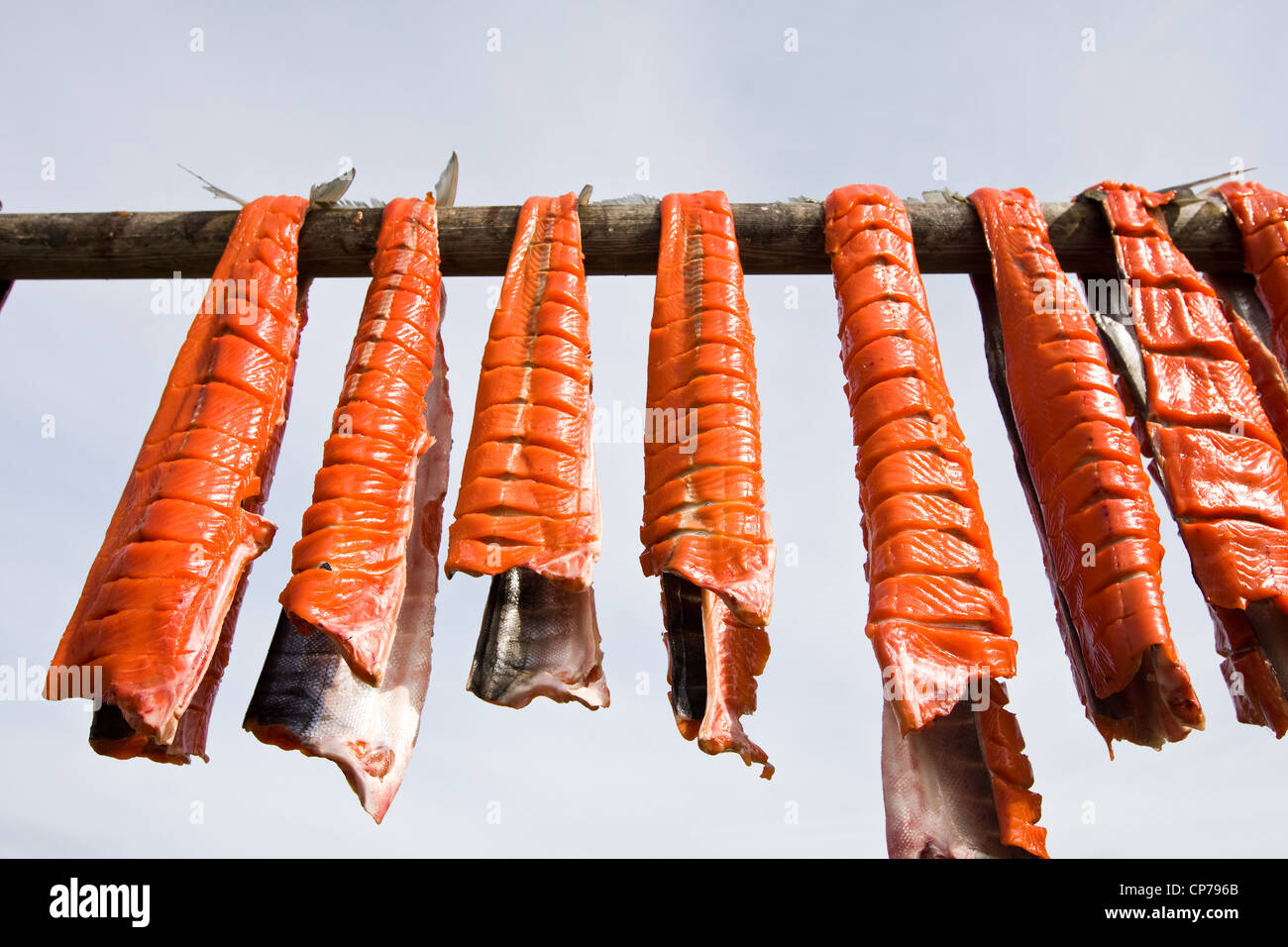Subsistance caught Bristol Bay Sockeye salmon drying on a rack, Iliamna ...