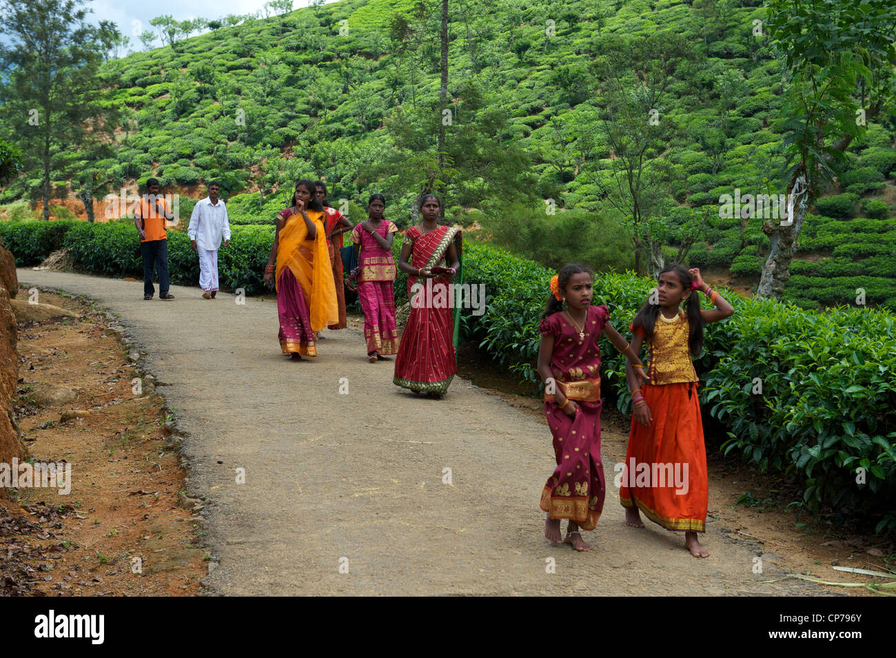 Hatton Sri Lanka Stock Photos & Hatton Sri Lanka Stock Images - Alamy