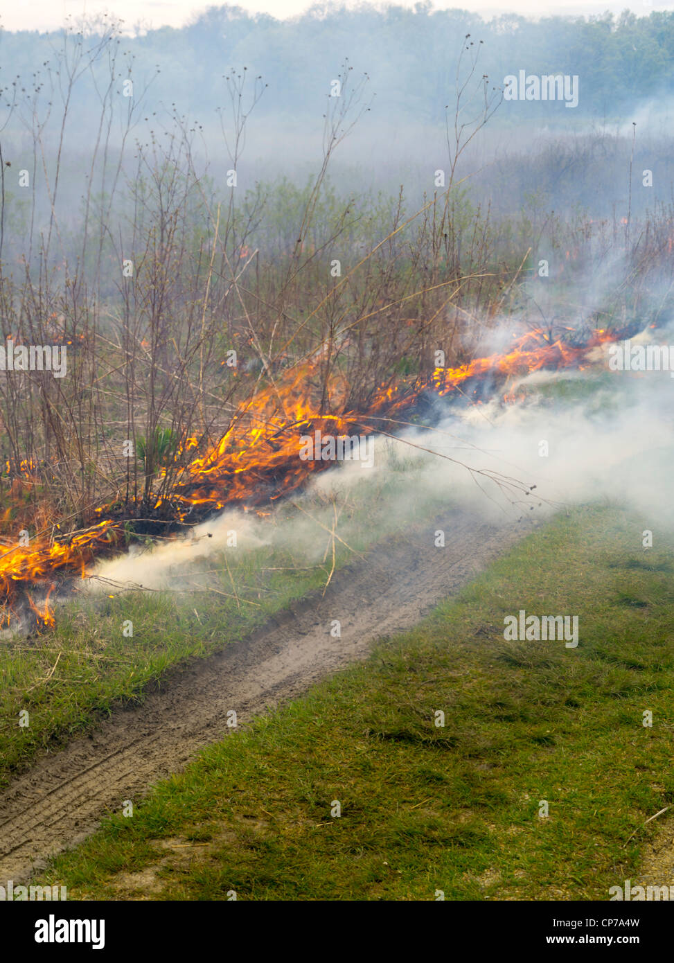 Prescribed Natural Fire Cycle High Resolution Stock Photography and ...