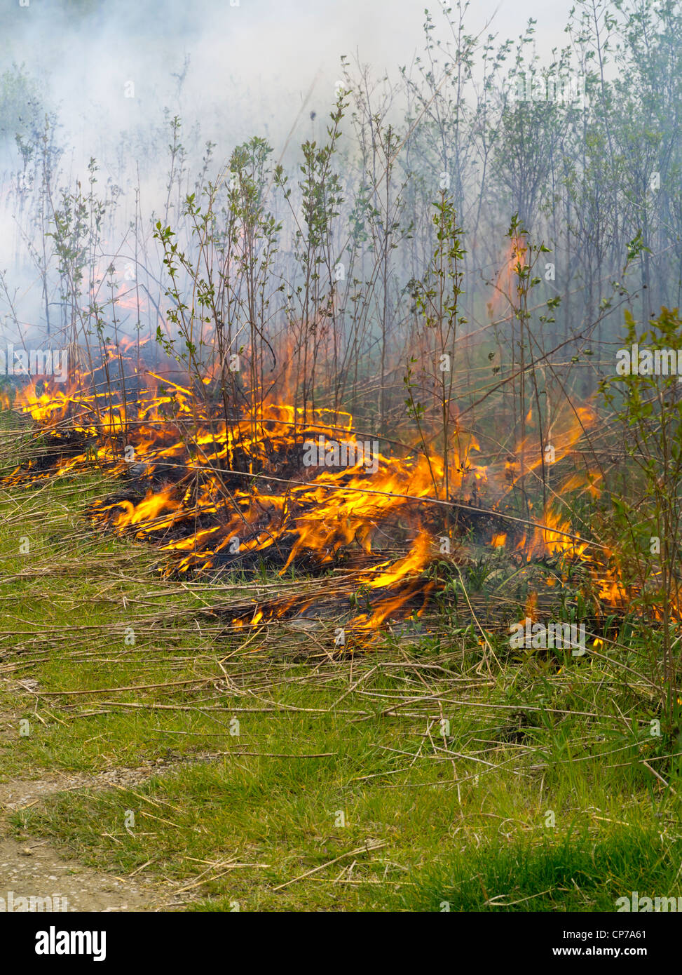 Prescribed fire training hi-res stock photography and images - Alamy