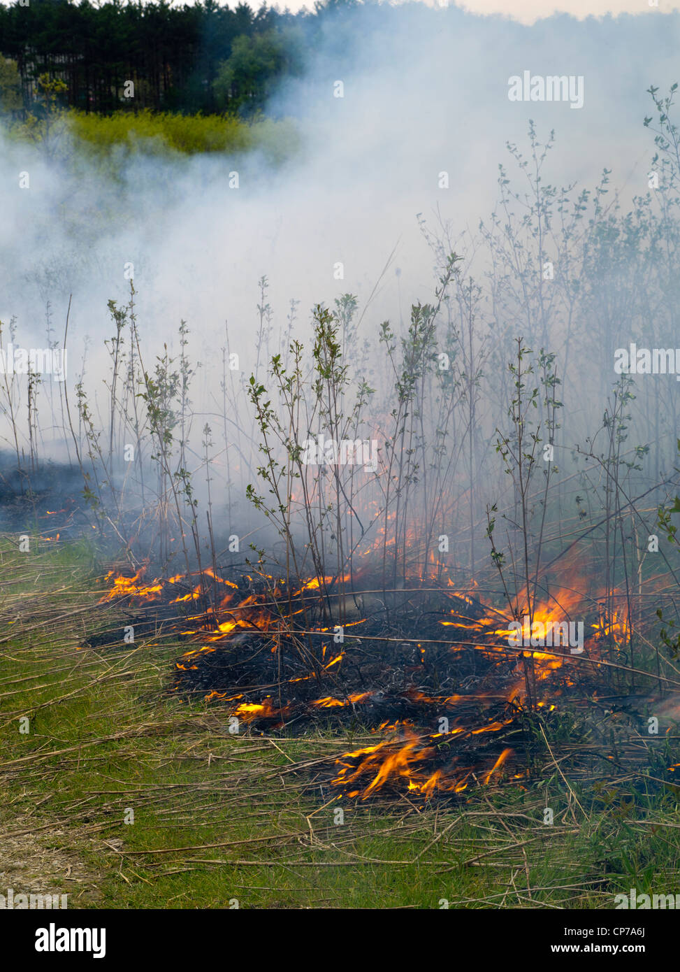 Prescribed prairie burn at the University of Wisconsin Arboretum ...