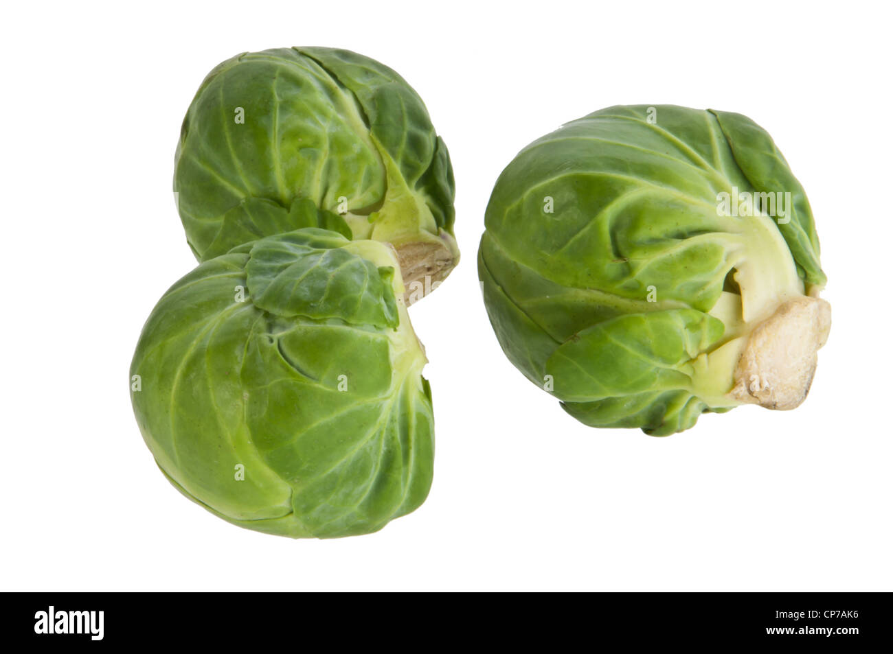 Group of Brussels Sprouts isolated on white background Stock Photo - Alamy