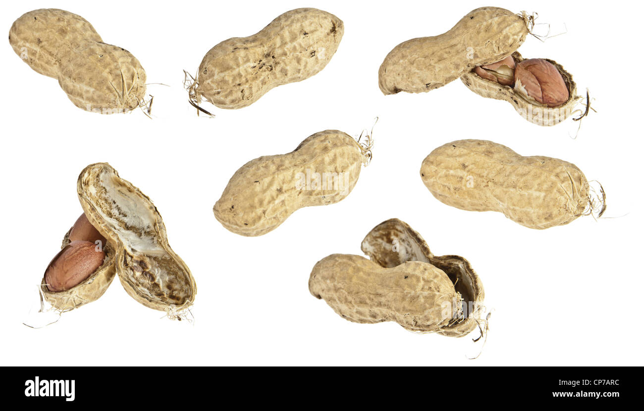 Group of peanuts isolated on white background Stock Photo - Alamy