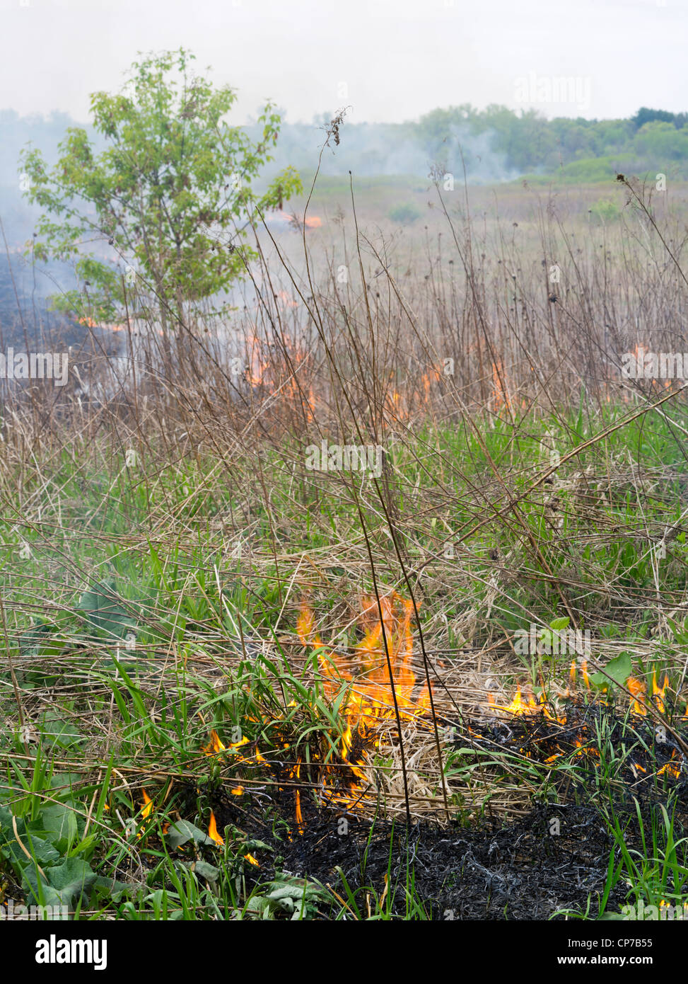 Prescribed prairie burn at the University of Wisconsin Arboretum ...